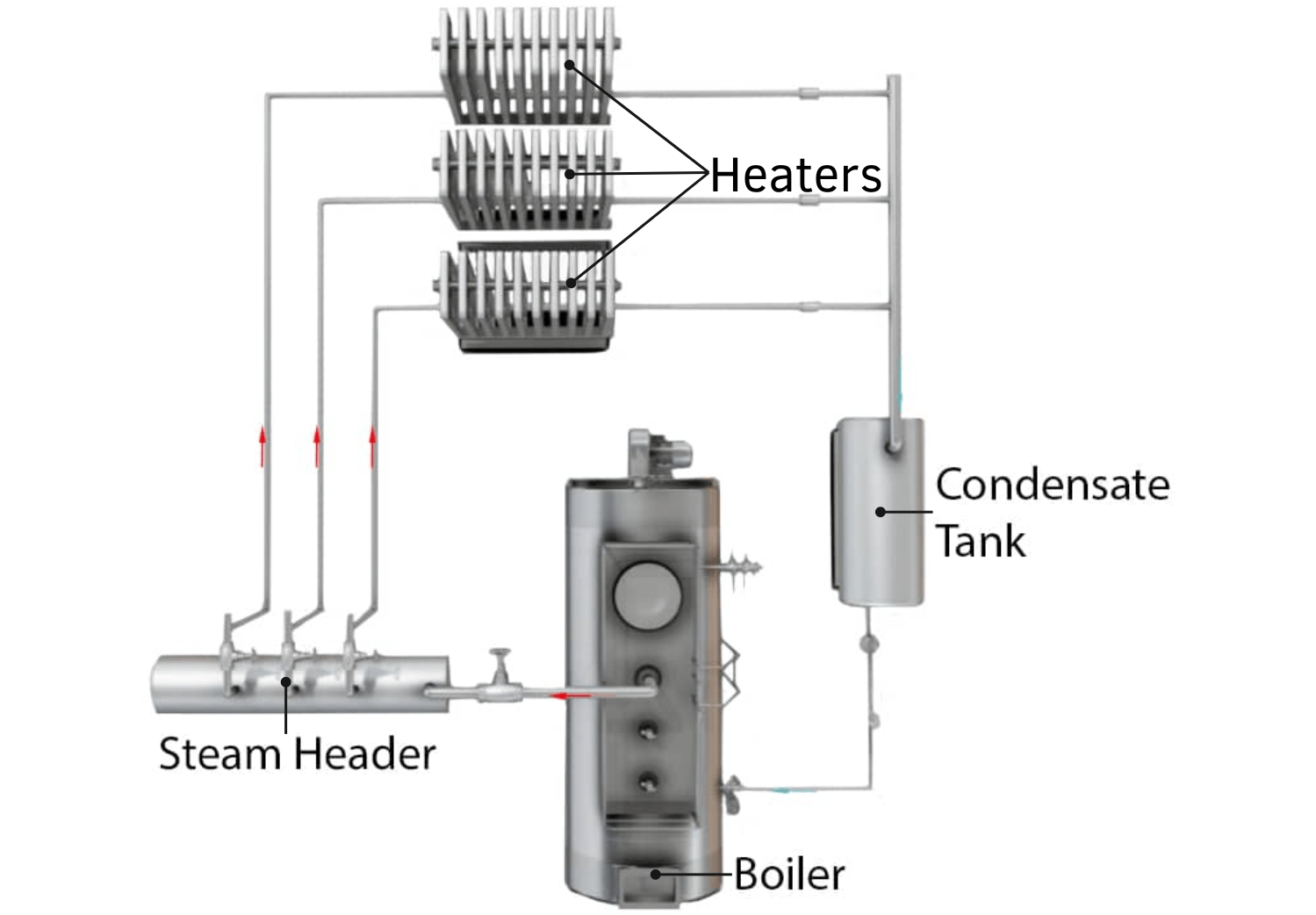 Boilers Explained - saVRee